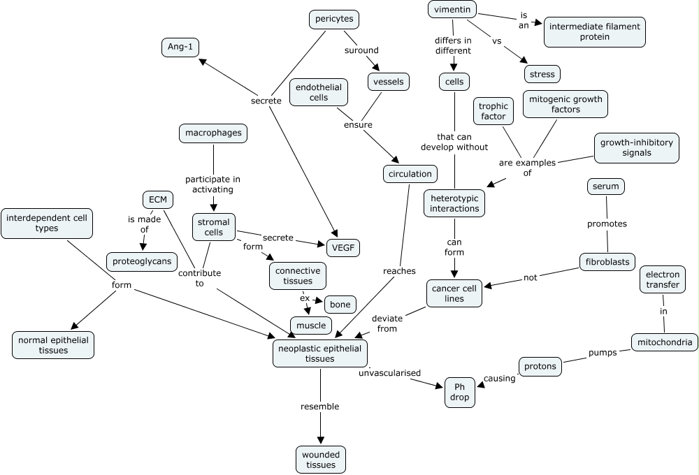 Chapter 13 Discussion Map
